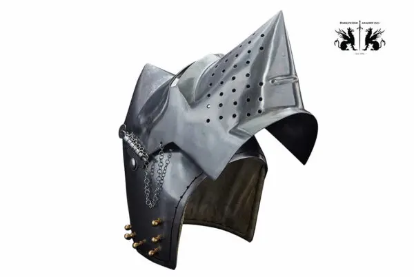 PigFace Bascinet (#1736) - Darksword Armory