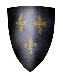 Medieval Armor for WMA / Reenactment- Darksword Armory